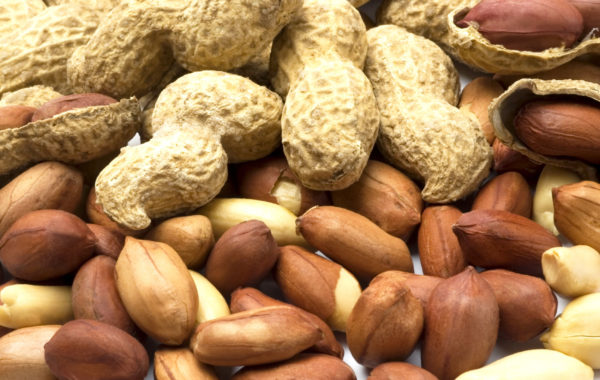 Services | Andalucia Nuts